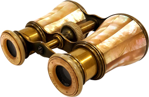 Guide To Binoculars Of The Complete Beginner's 1 Of The Best Way