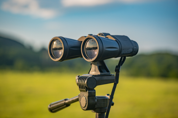 10 Best Binoculars For Long Distance Viewing: The Ultimate Binoculars ...