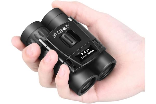 10 Useful Small Binoculars For Beginner To Pro Watchers