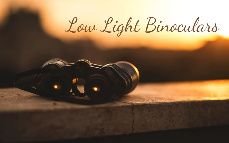 Top10 Low Light Binoculars Change Your Viewing Perspective